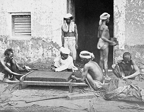 Blue Gold: The Indigo That Stained History | PMN Patralok