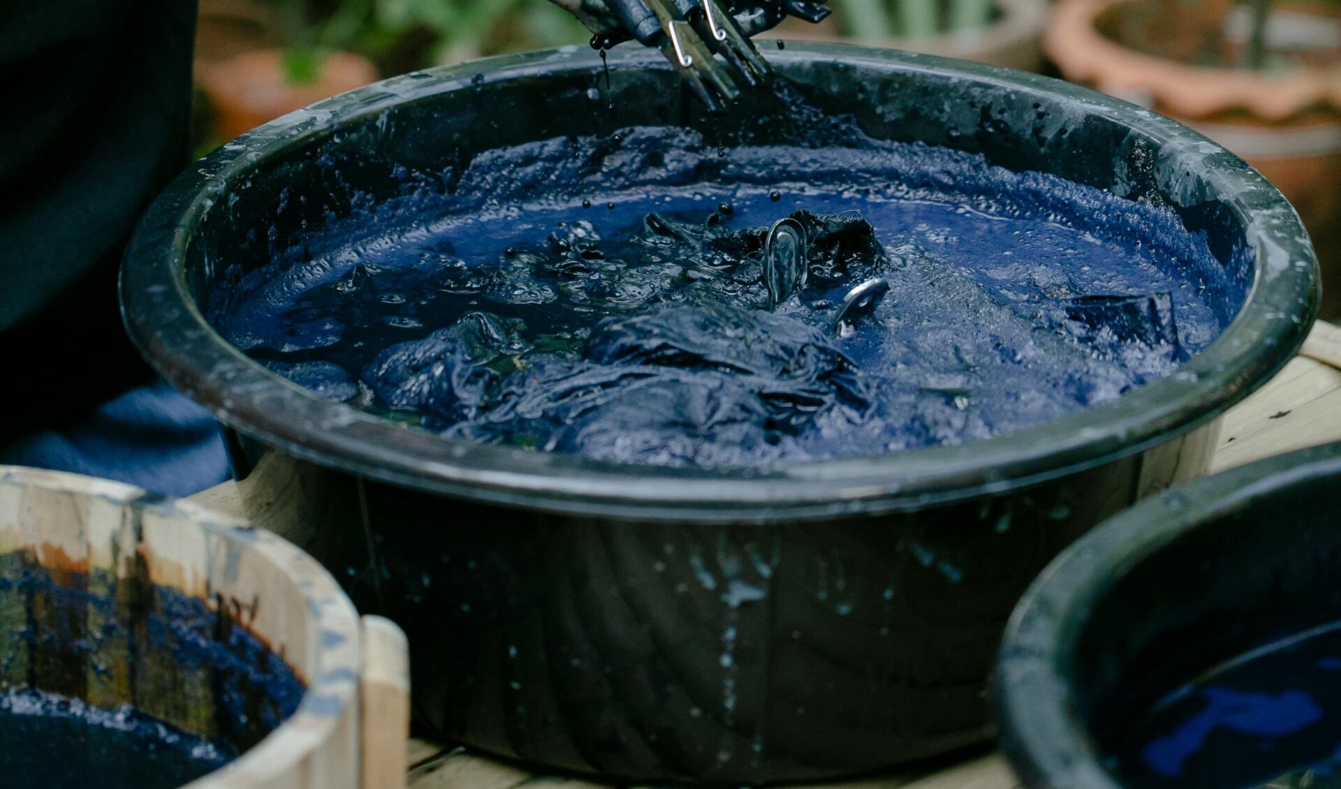 Blue Gold: The Indigo That Stained History | PMN Patralok