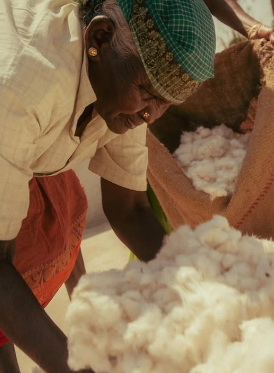 How Cotton Became India’s Most Used Textile | PMN Patralok